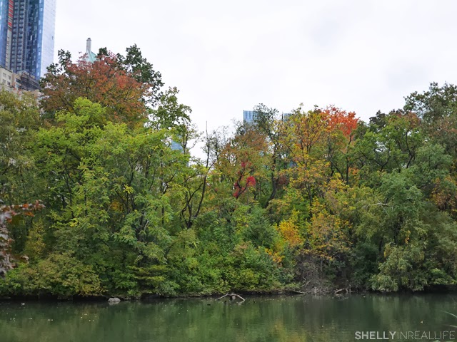 NYC: Fall Foliage in Central Park, Map Included! - Shelly in Real Life