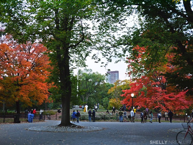 NYC: Fall Foliage in Central Park, Map Included! - Shelly in Real Life