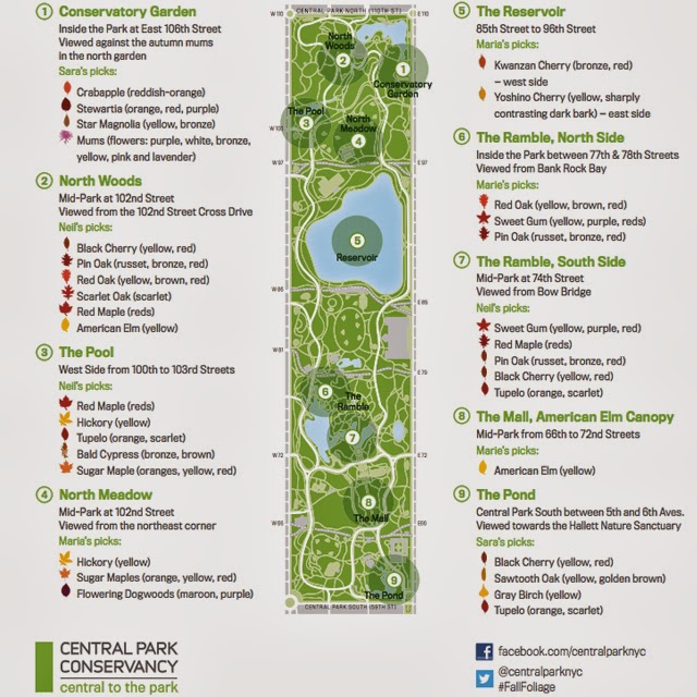 NYC: Fall Foliage in Central Park, Map Included! - Shelly in Real Life